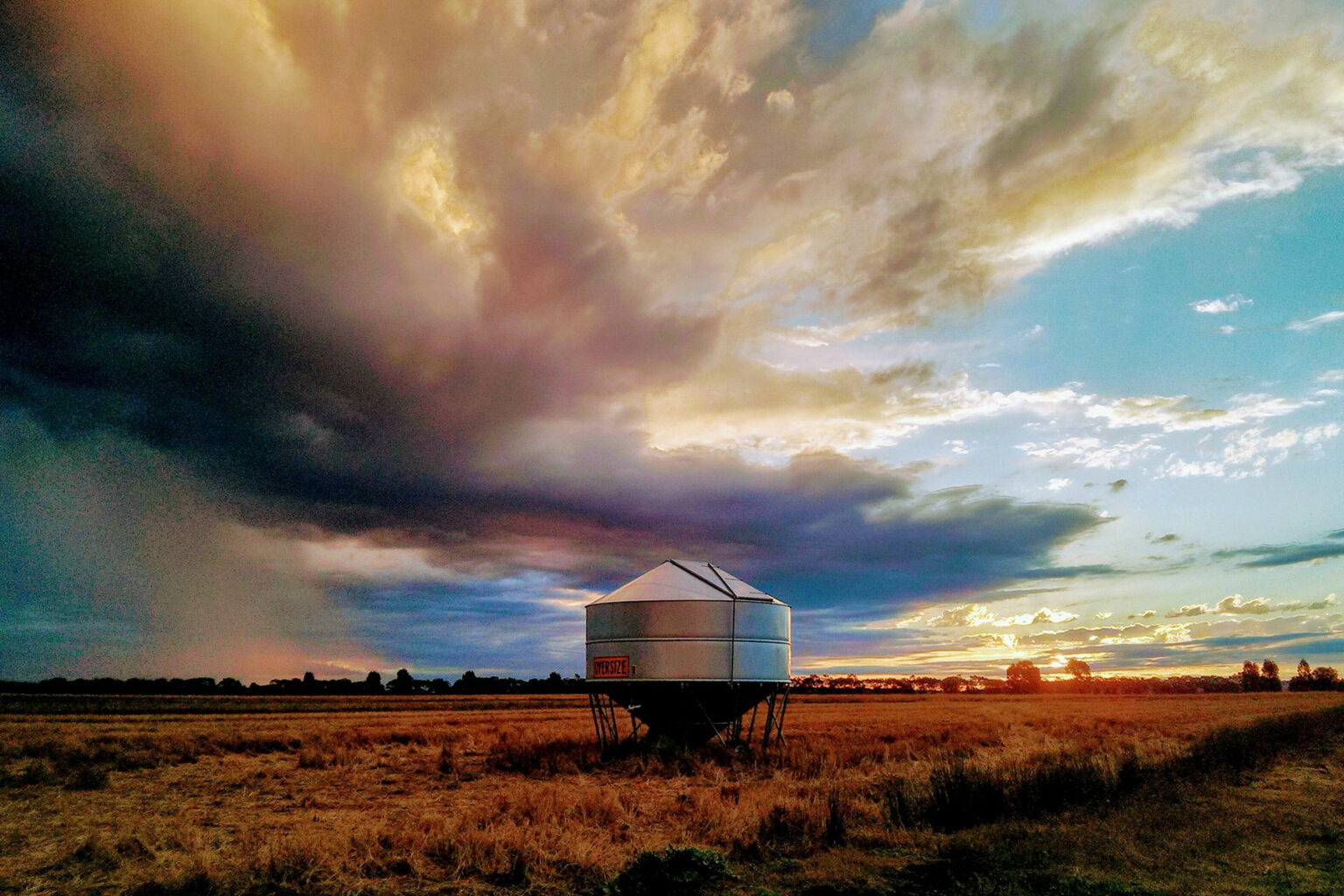 Randall Organic Rice ~ environmental stewards and innovators – All ...