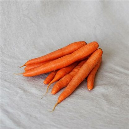 Carrots Certified Organic – All About Organics Online