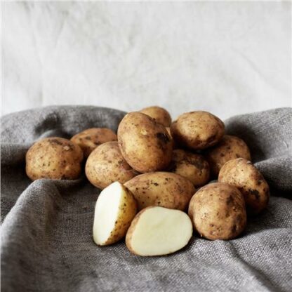 All About Organics Online